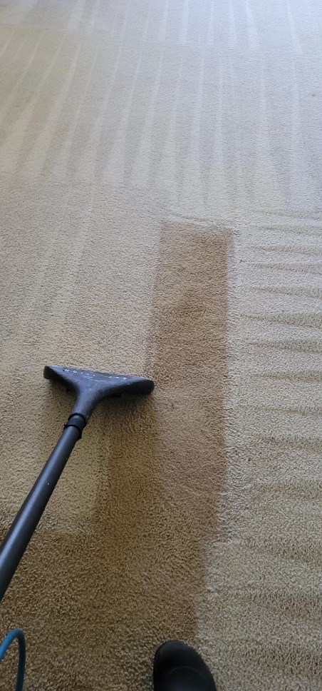 Carpet Cleaning Service in Royse City, TX | Request A Free Quote